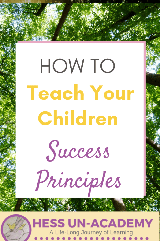 How to Teach Kids Success Principles