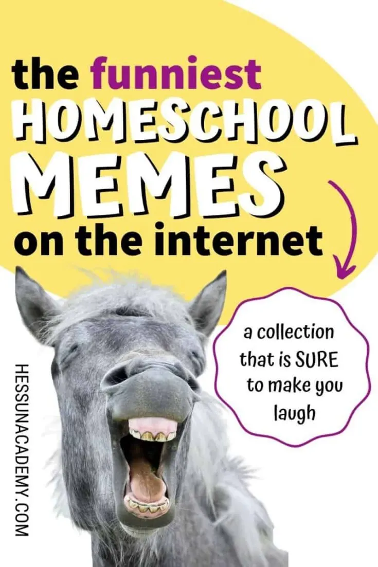Hess UnAcademy Web Stories - Hess UnAcademy