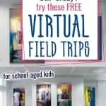 25+ Virtual Field Trips for an Awesome At-Home Adventure