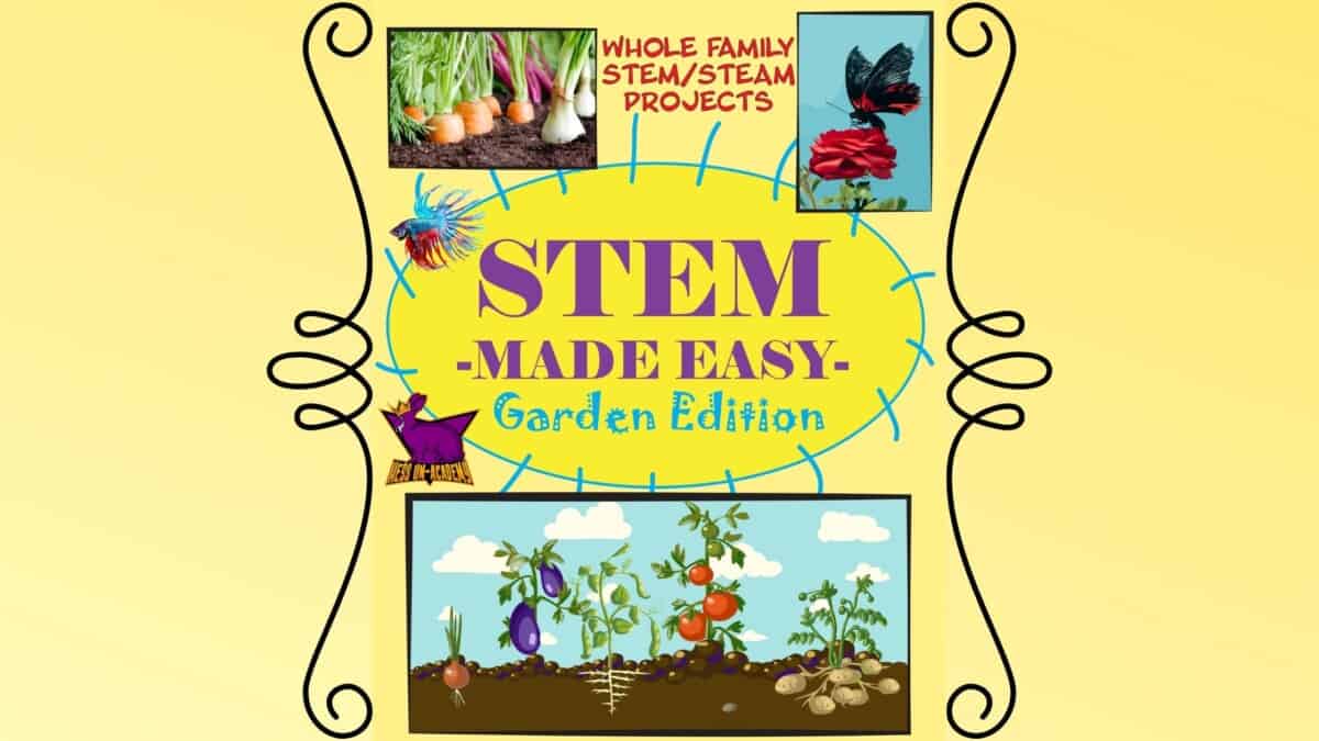 Why Invest in a Good STEM Curriculum - Hess UnAcademy
