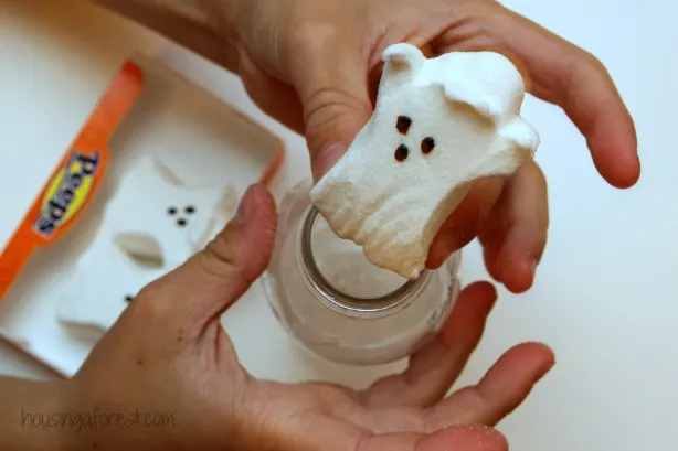 57+ Halloween Science Experiments | The Ultimate List
