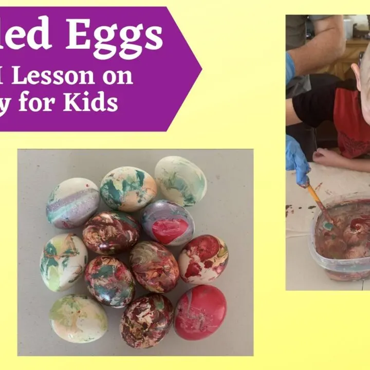 13 Exciting STEAM Art Projects and Ideas - Hess UnAcademy