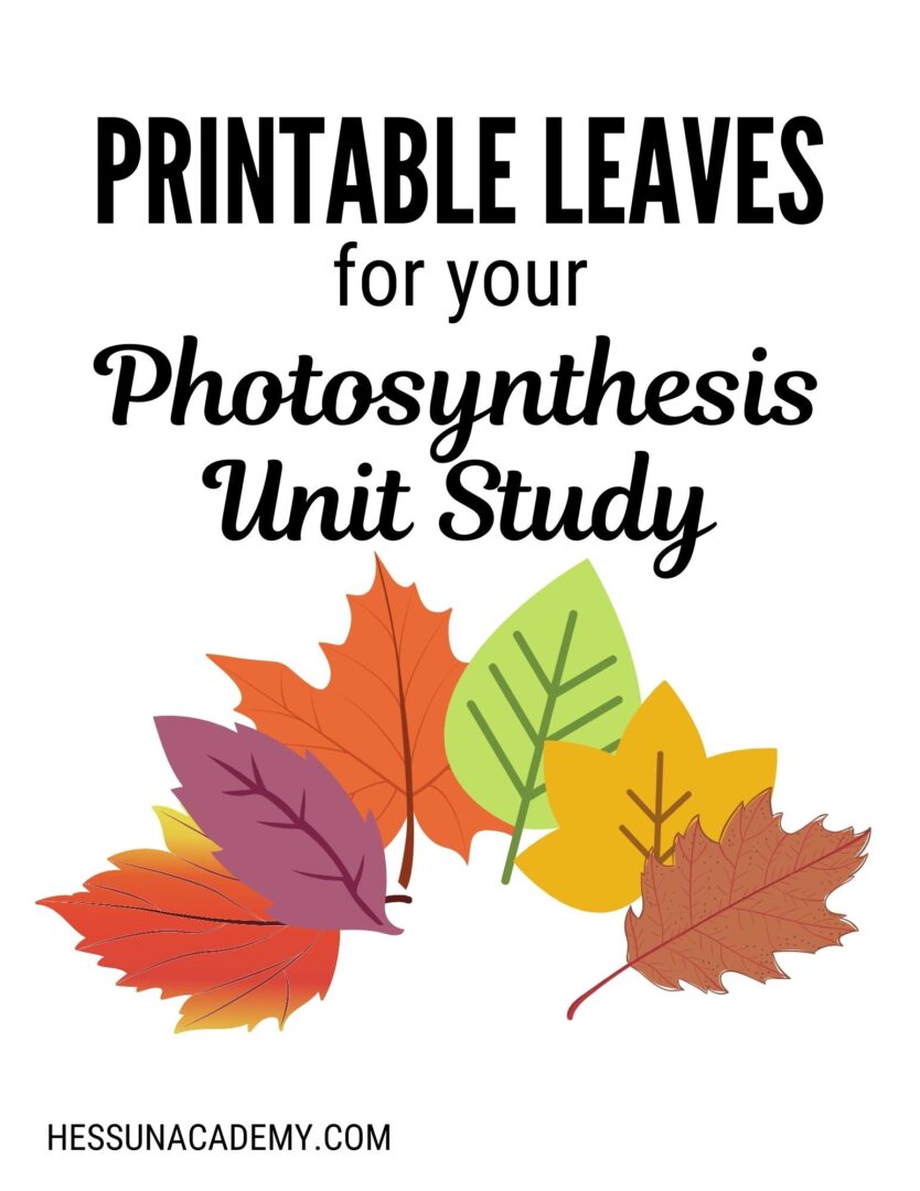 Free Photosynthesis Lesson Plan | A Fall Unit Study For Elementary Kids ...