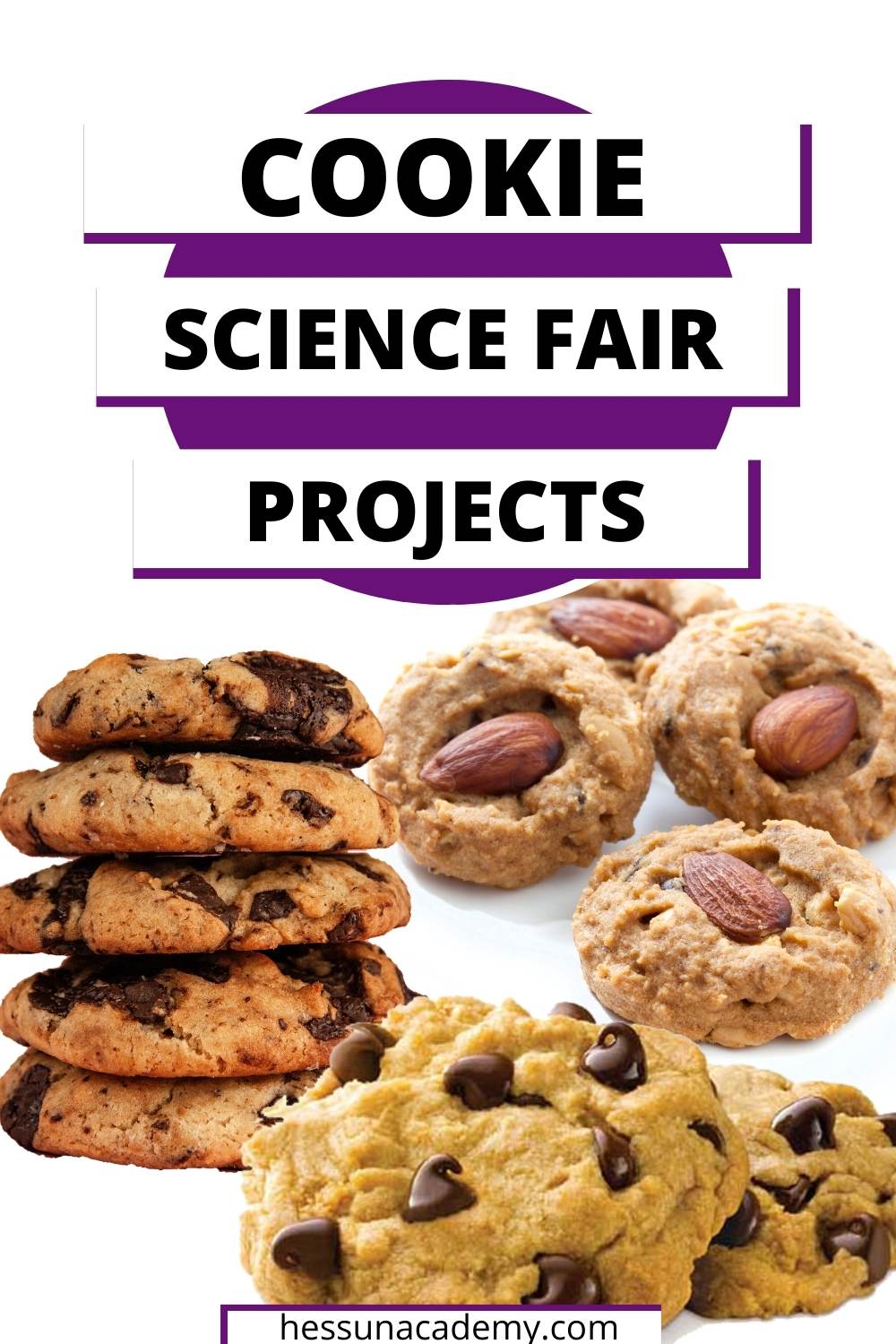 Cookie Science Fair Projects Fun Ideas For Students Cookie Science Fair Projects Fun Ideas For Students