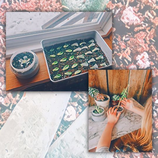 Inspire, Create, Discover: Expertly Curated STEM Projects! - Hess UnAcademy