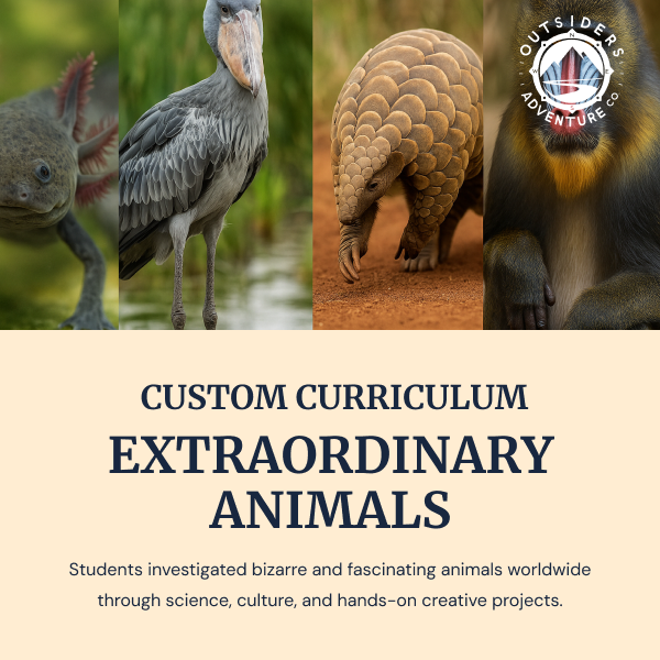 Custom Curriculum in Extraordinary Animals | Hess UnAcademy
